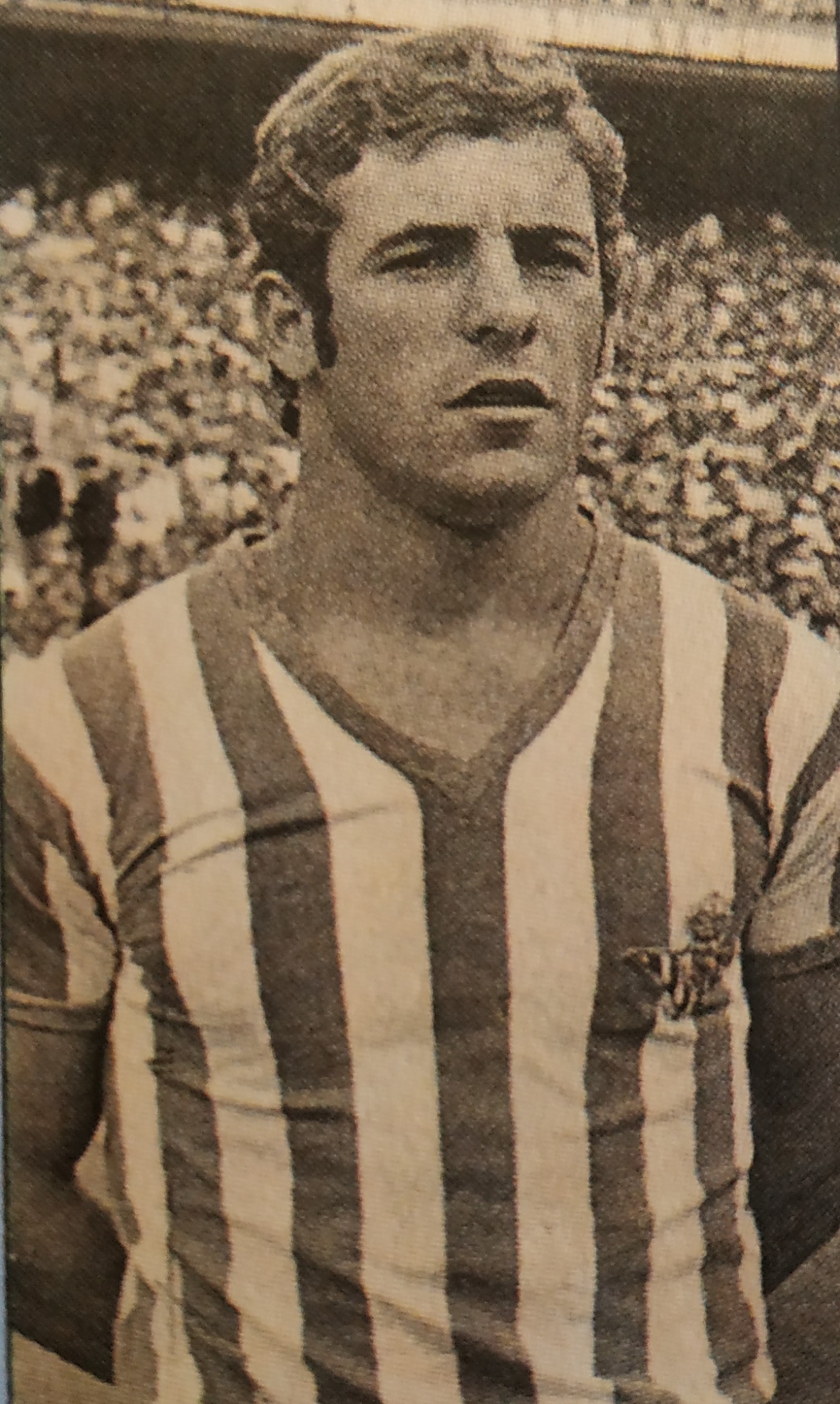 Historia del Real Betis Hoy hace 70 años. Nace Antonio Benítez ...